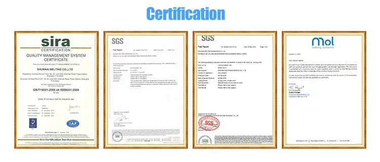 Customizable PVC PU PE TPU Rubber Belts for Logistics