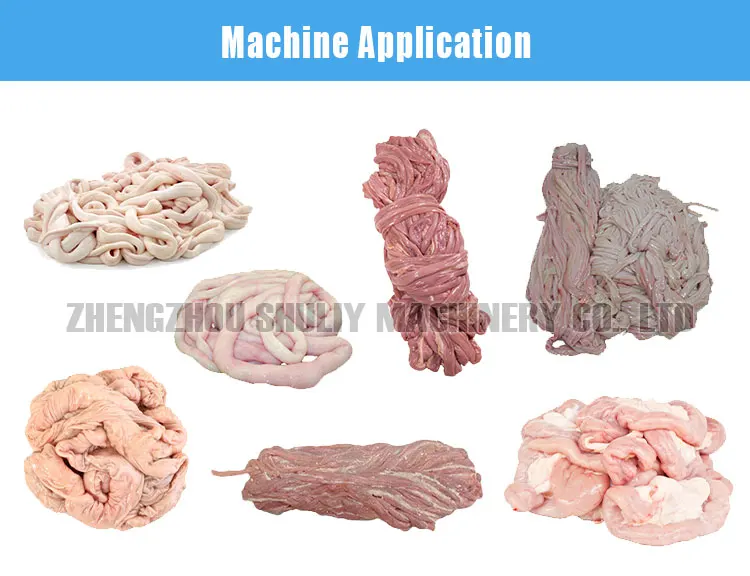Sheep Intestine Cleaning Machine Pork Pig Animal Intestine Washing ...