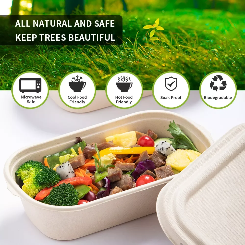 Disposable Biodegradable Sugarcane Bagasse Pulp Food Packaging