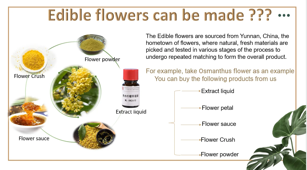 Natural Flavor Edible Flower Essence Honeysuckle Flower Concentrate ...