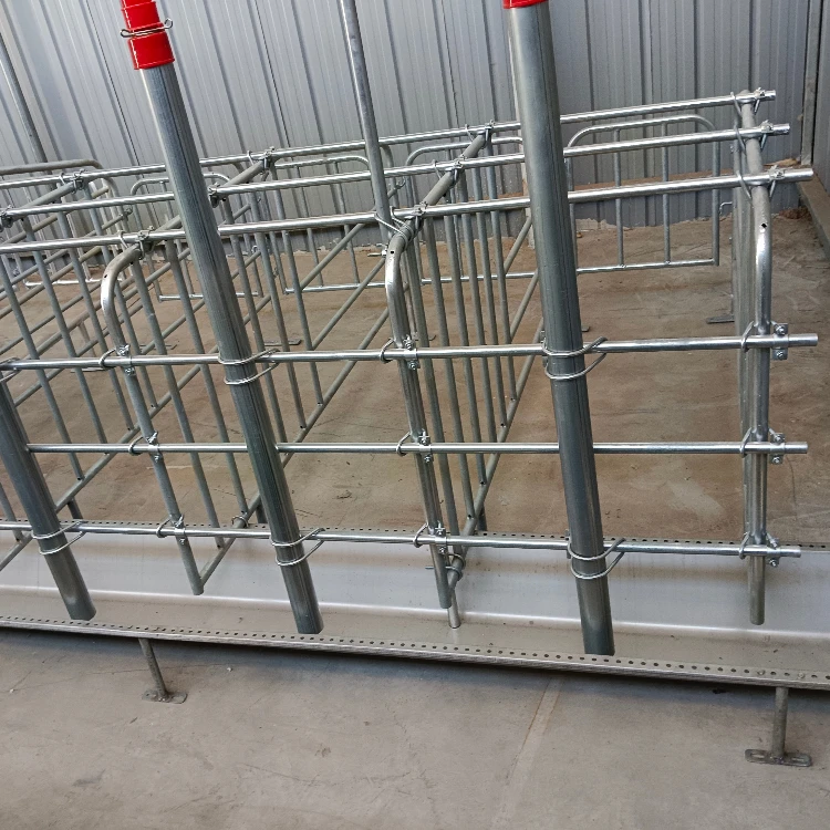 MUHE Pig Farm Animal Gestation Cages for Sale - Durable & Efficient