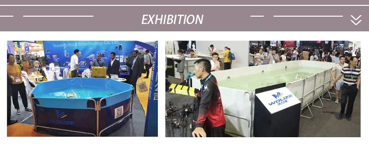 High-density Industrial Fish Farm Recirculating Aquaculture System Fish ...