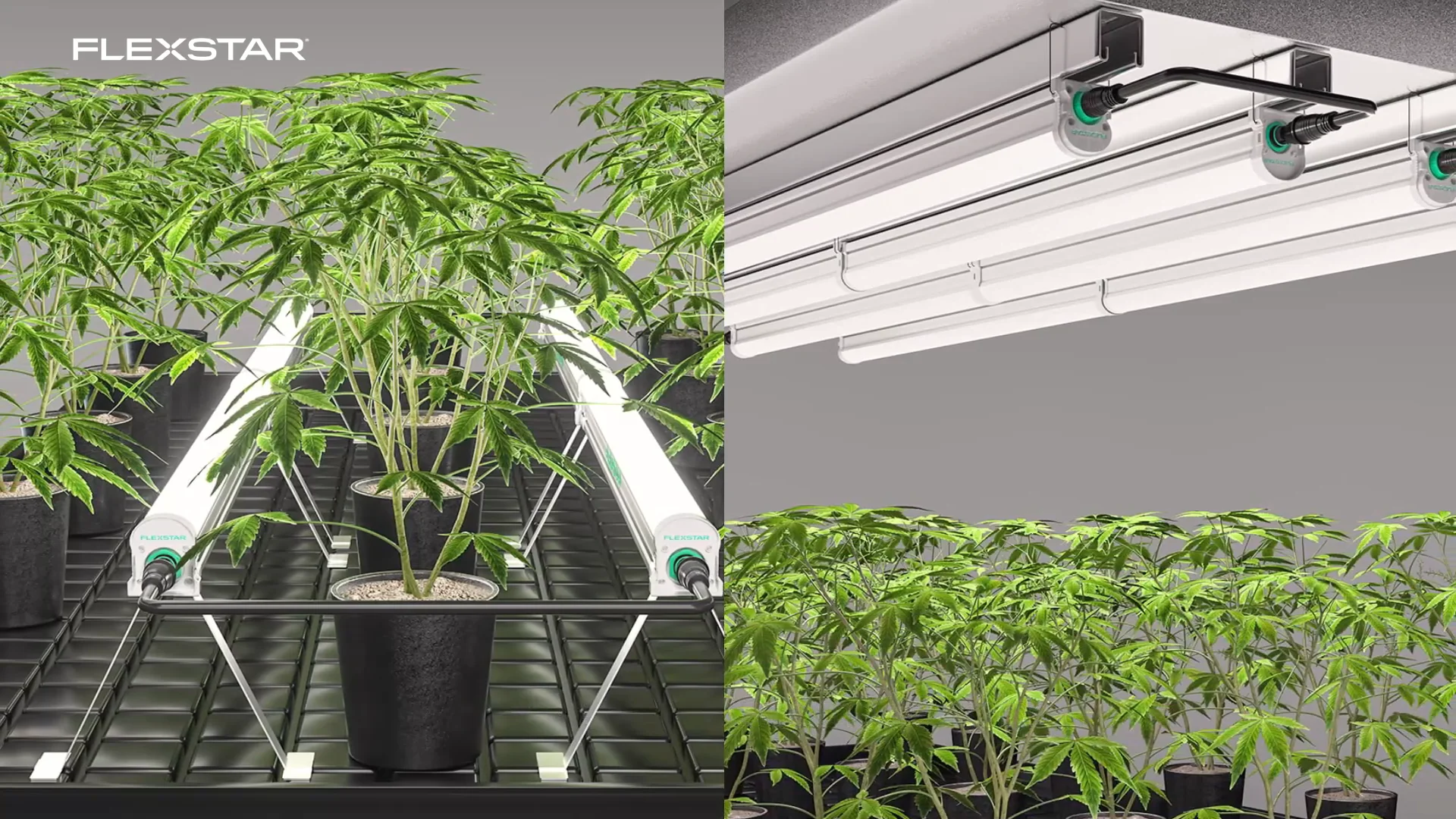 Sinowell Undercanopy 120w 2.8 Umol/j 4ft Greenhouse Indoor Farming 120 Watt Inter Canopy Led ...