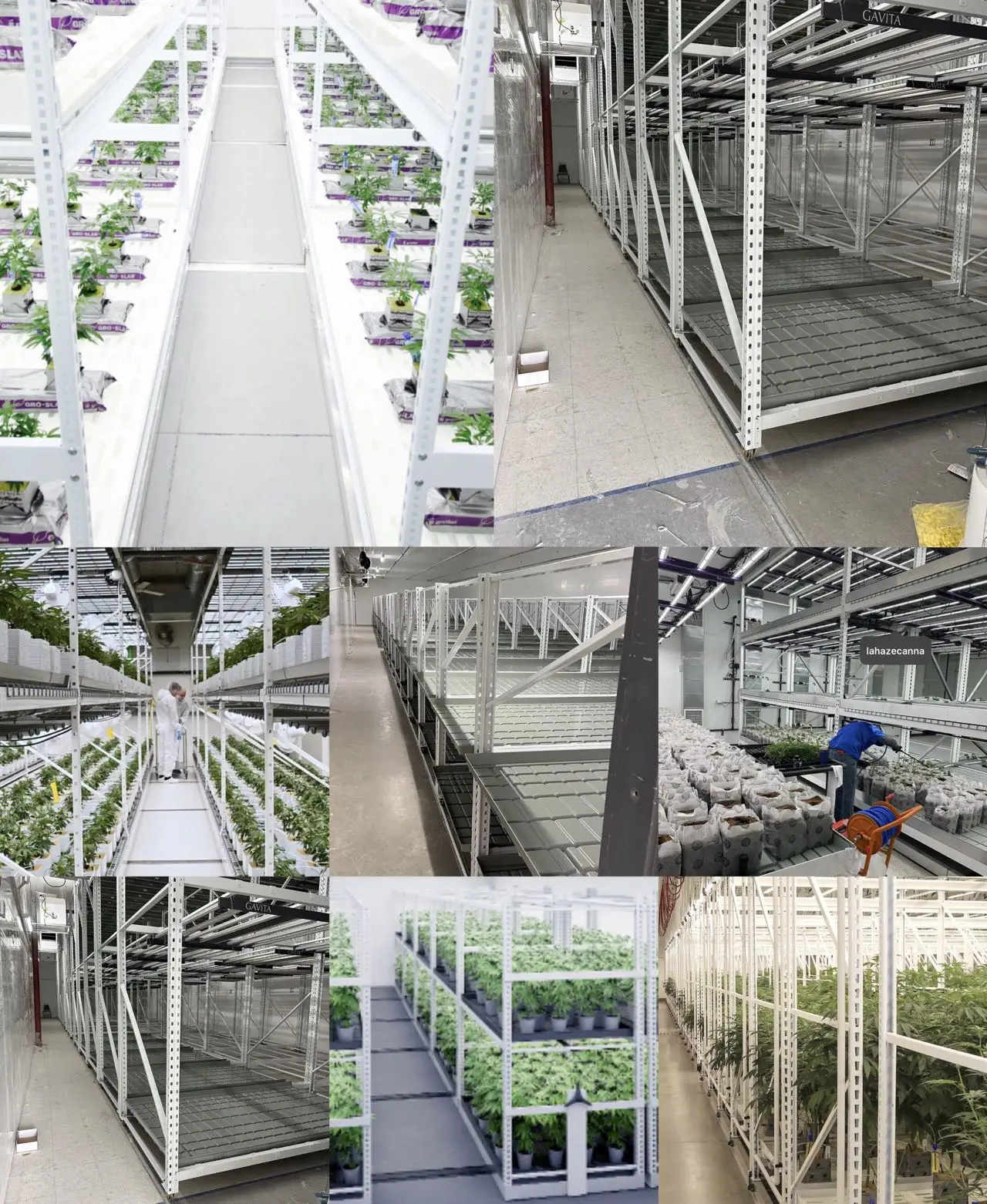 Indoor Farm Mushroom Racks Growing Shelves Growing System Hydroponic ...