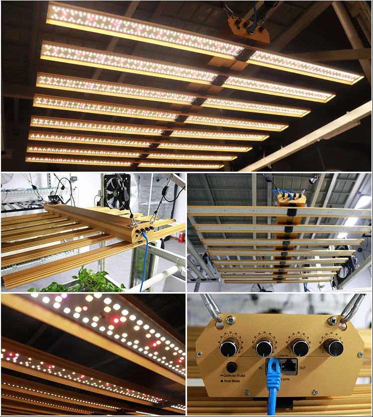 Adjustable Spectrum LED 900W Grow Light for Indoor Plants - Full ...