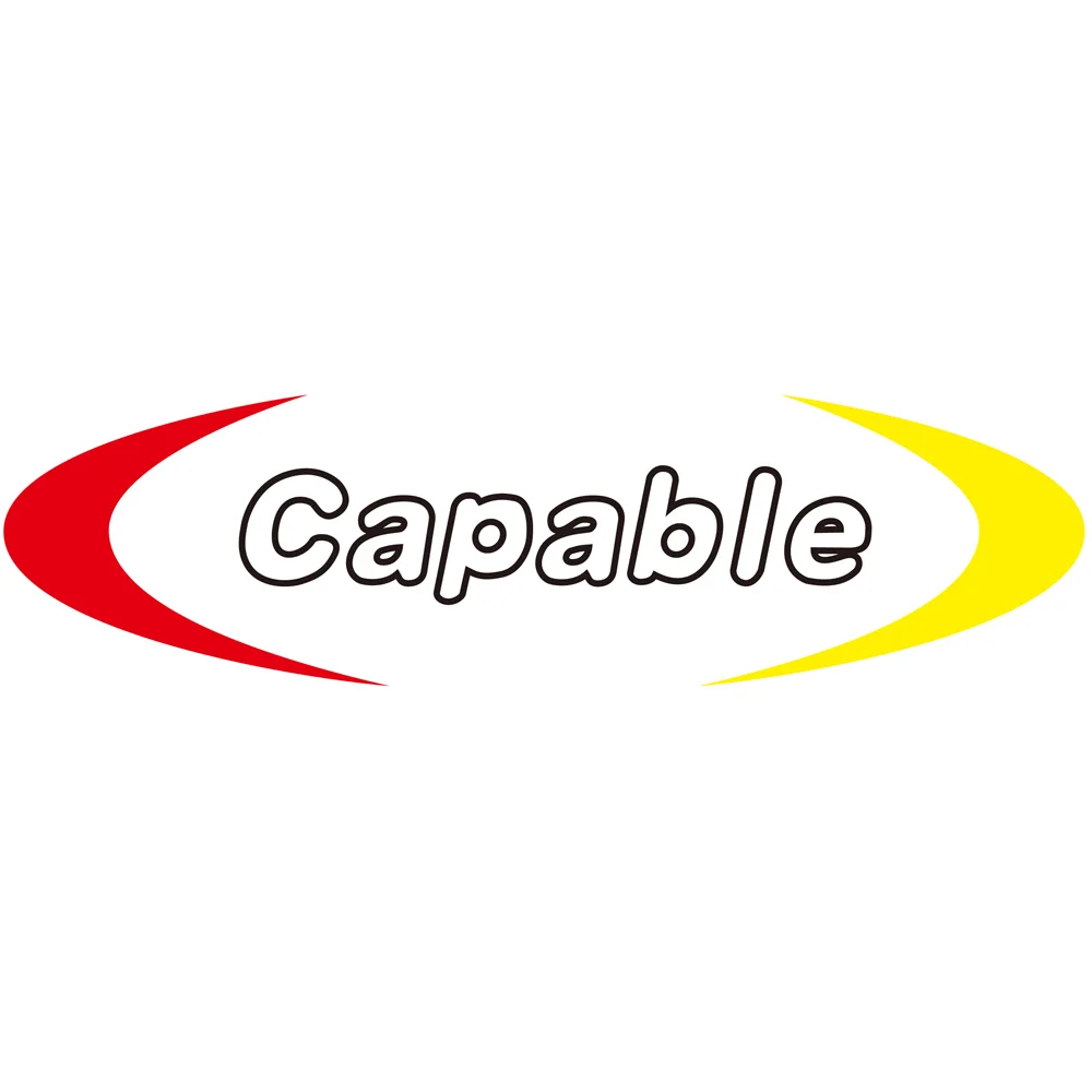 Company Overview - Shantou Capable Toys Co., Ltd.