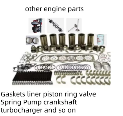 Original Original Cummis 6 CT8.3 Motor teile Neu C5529516 Dichtung für ...