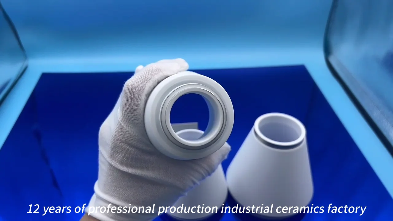 Wear Resistance Corrosion Preventive White Alumina Mo Mn Metallized ...