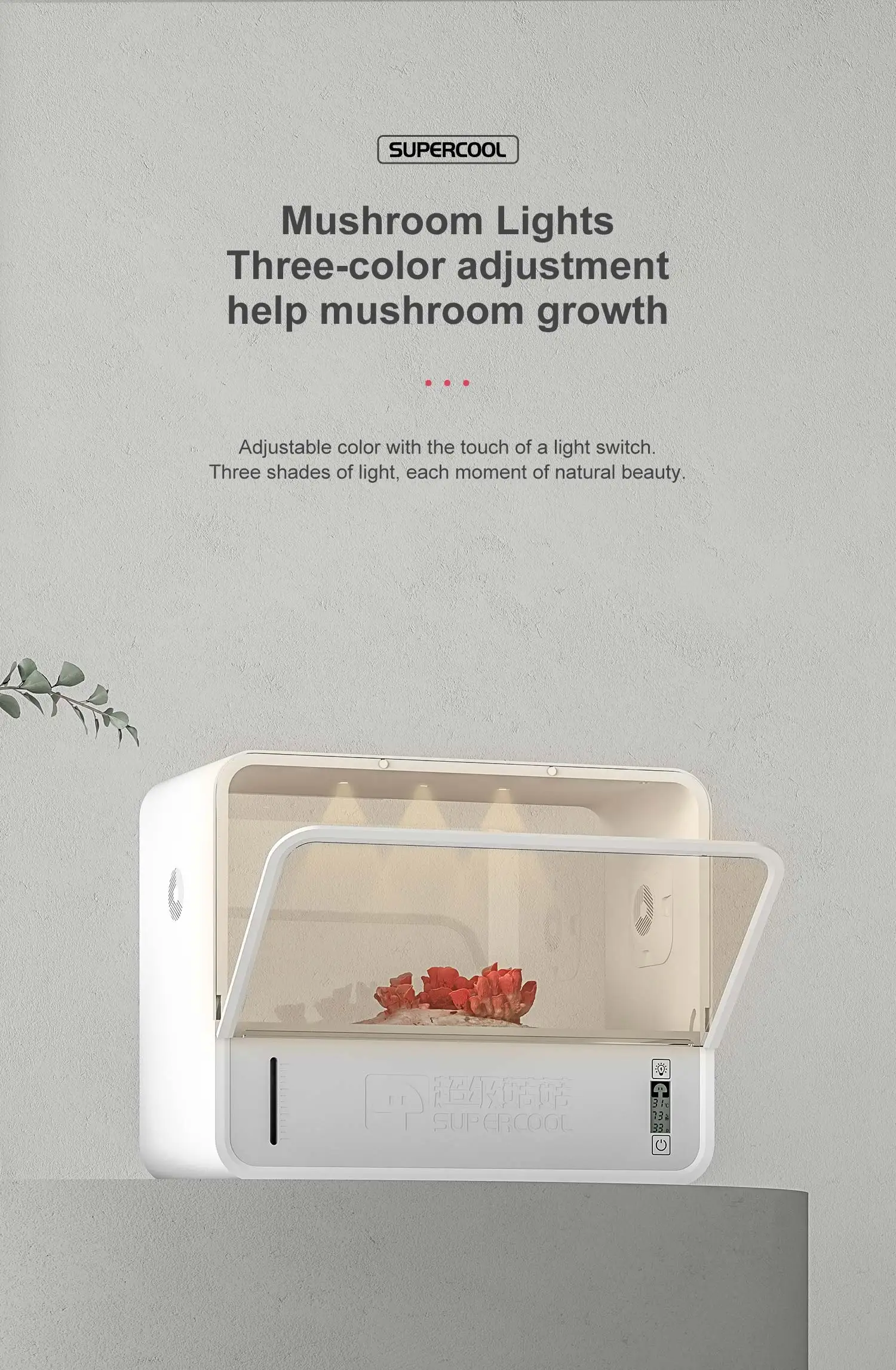 Portable Home Greenhouse Mushroom Growing Container Grow Box Mushroom ...