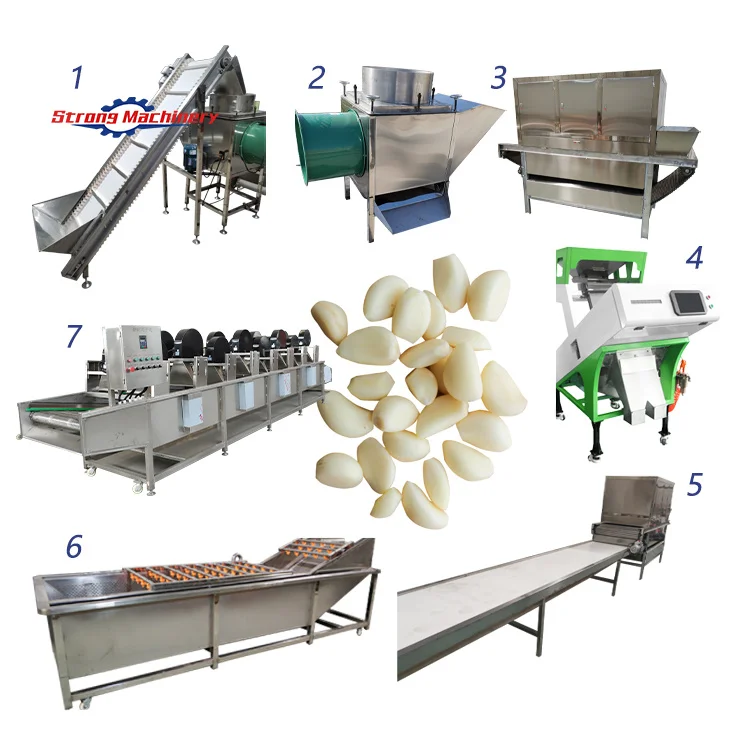 Industrial Automatic Full Set Garlic Production Line Includes Garlic ...