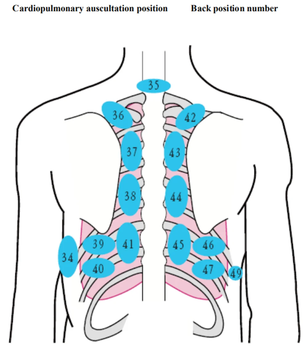 Digital Remote Controlled Cardiopulmonary Auscultation Simulator