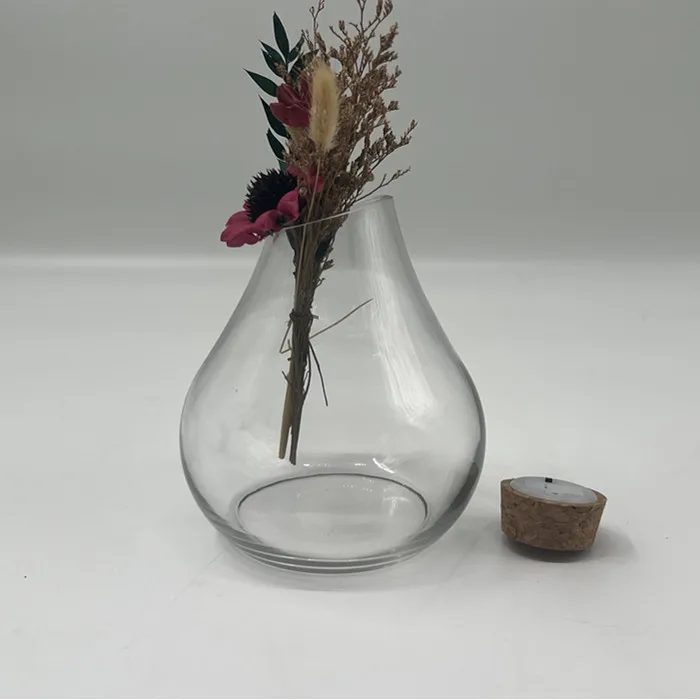 Globe Shaped Glass Jar Terrarium with LED Light & Cork Lid