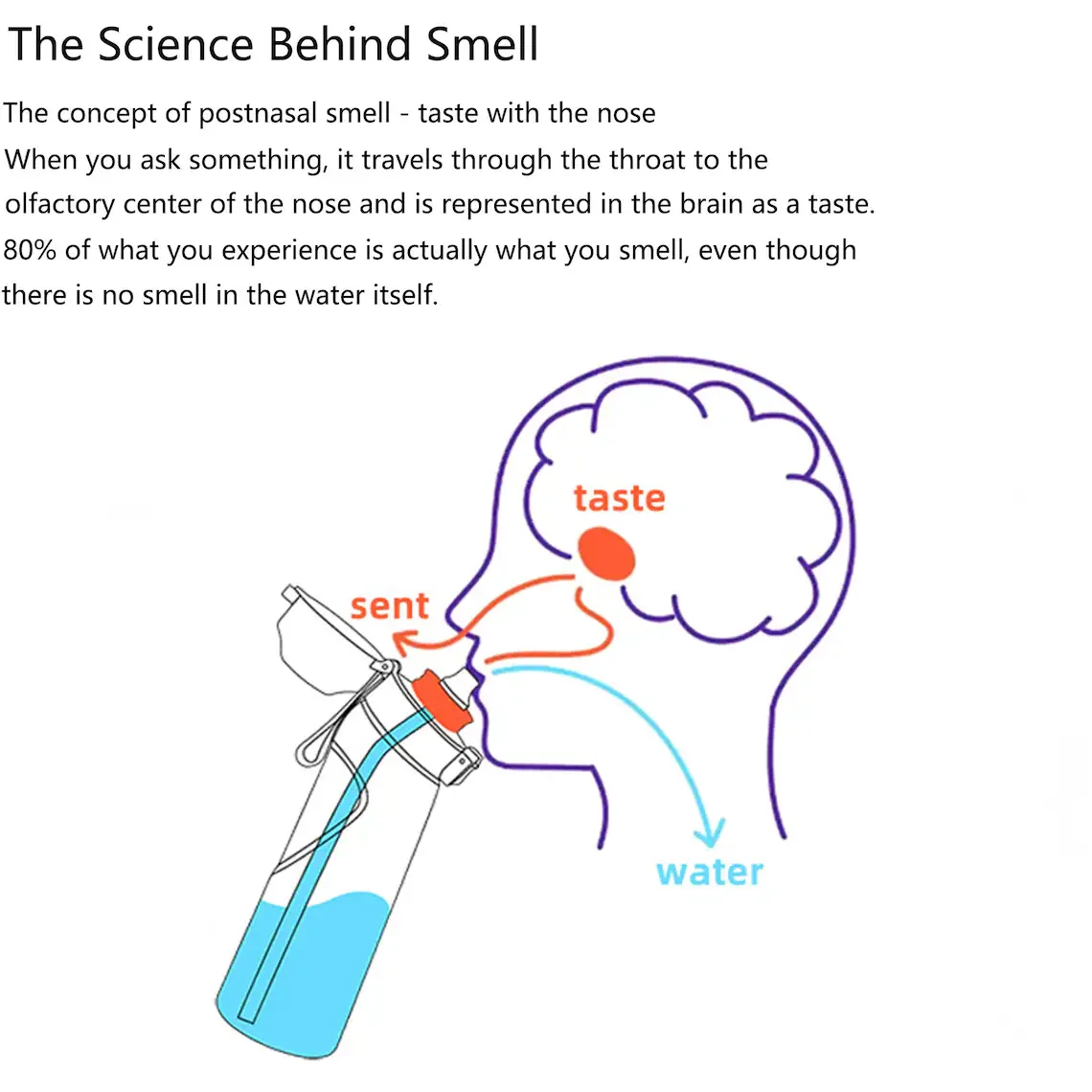 Flavoring Pod Air Scent - Enhance Your Travel Experience