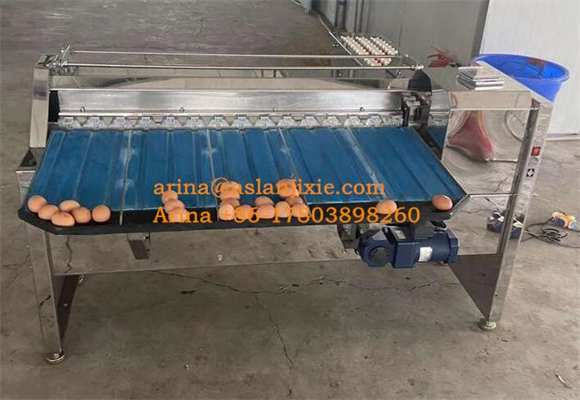 Automatic Egg Weight Classifying Machine - High Capacity