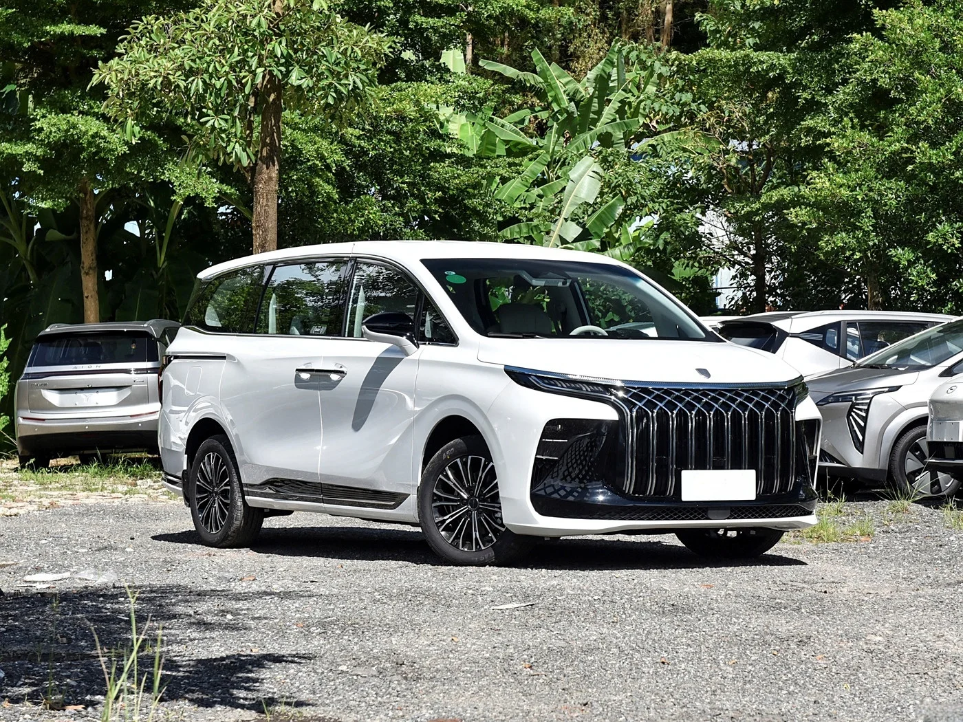 Dongfeng Forthing Planet Sea V9 Luxury MPV New Energy Vehicle PHEV Electric Vehicle| Alibaba.com