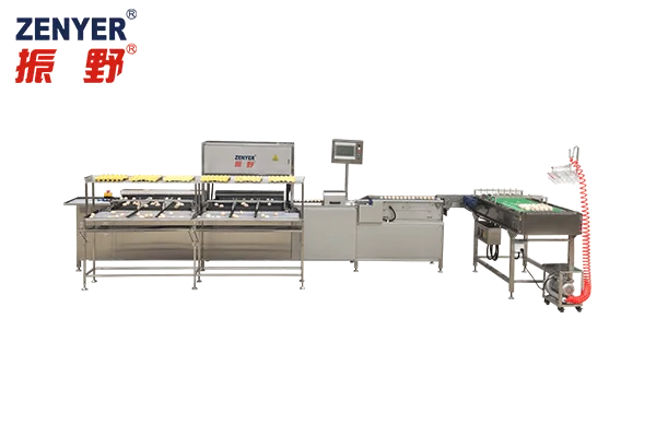 Automation Electronic Egg Grader Egg Selecting Machine Egg Grader ...