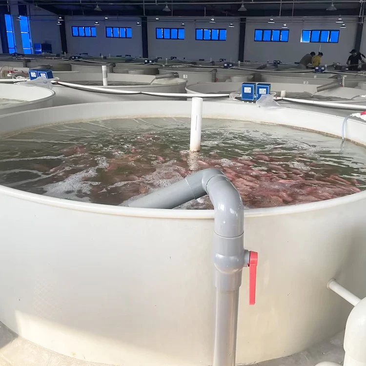 Aquaculture Recirculating System/ras Aquaculture System Fish Farming ...