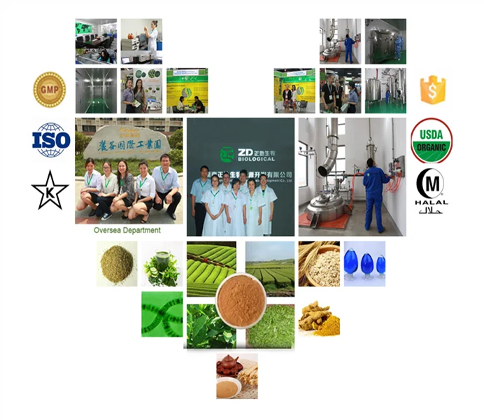 High Purity Egcg Powder Tea Polyphenols 90% 95% 98% Green Tea Leaf ...