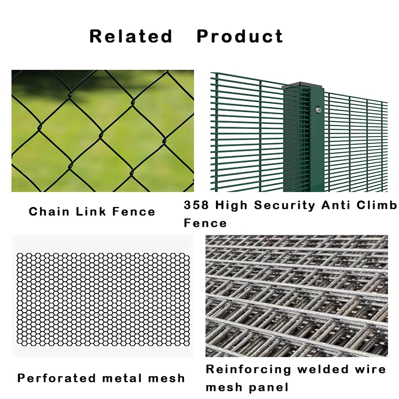 Galvanized Powder Coated Steel Mesh Wire Fence 50x100mm Mesh Eco ...