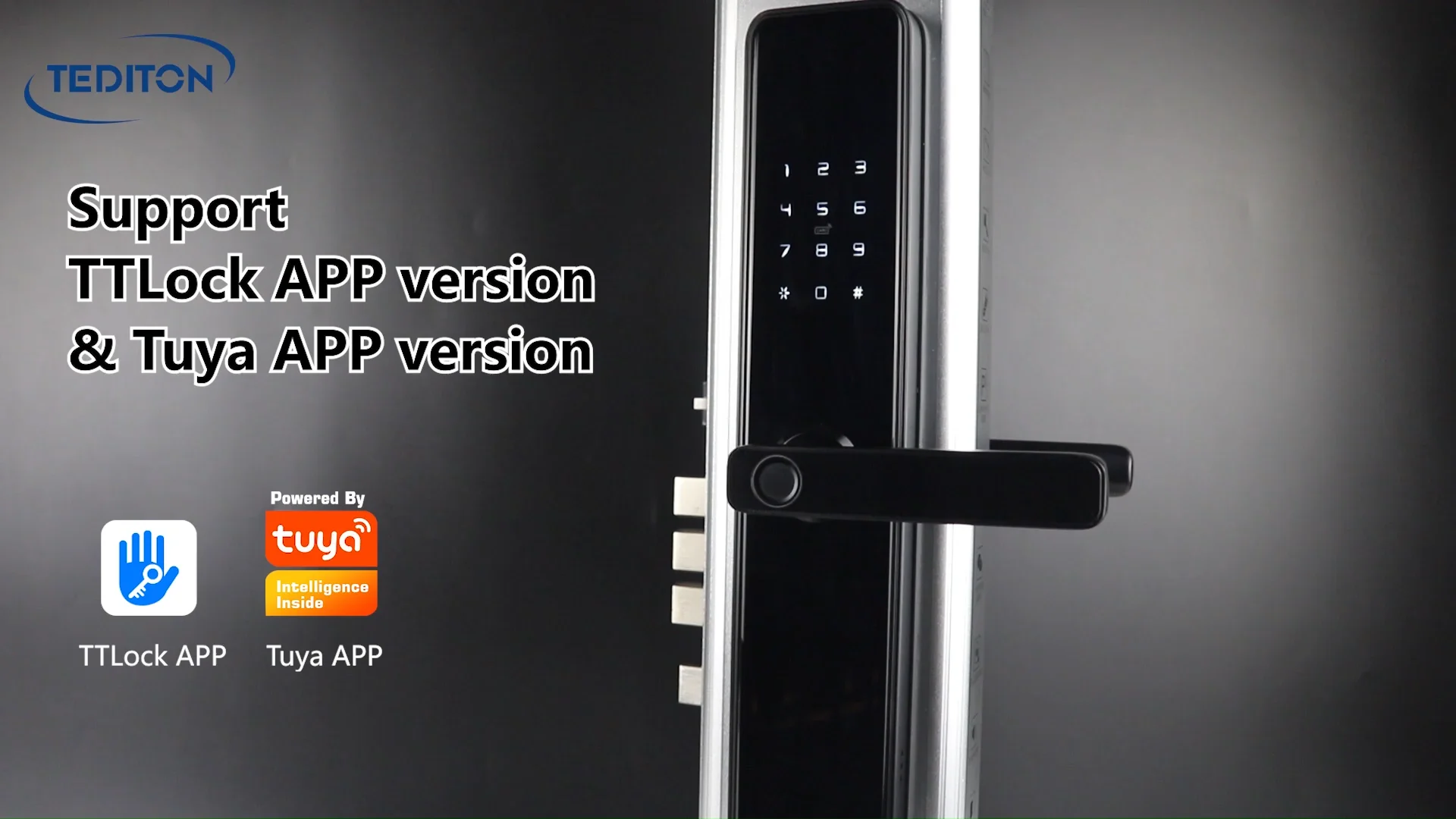 Tediton M1 Safety Ttlock App Tuya Wifi Fingerprint Digital Door Lock Smart Locks For Front Door ...