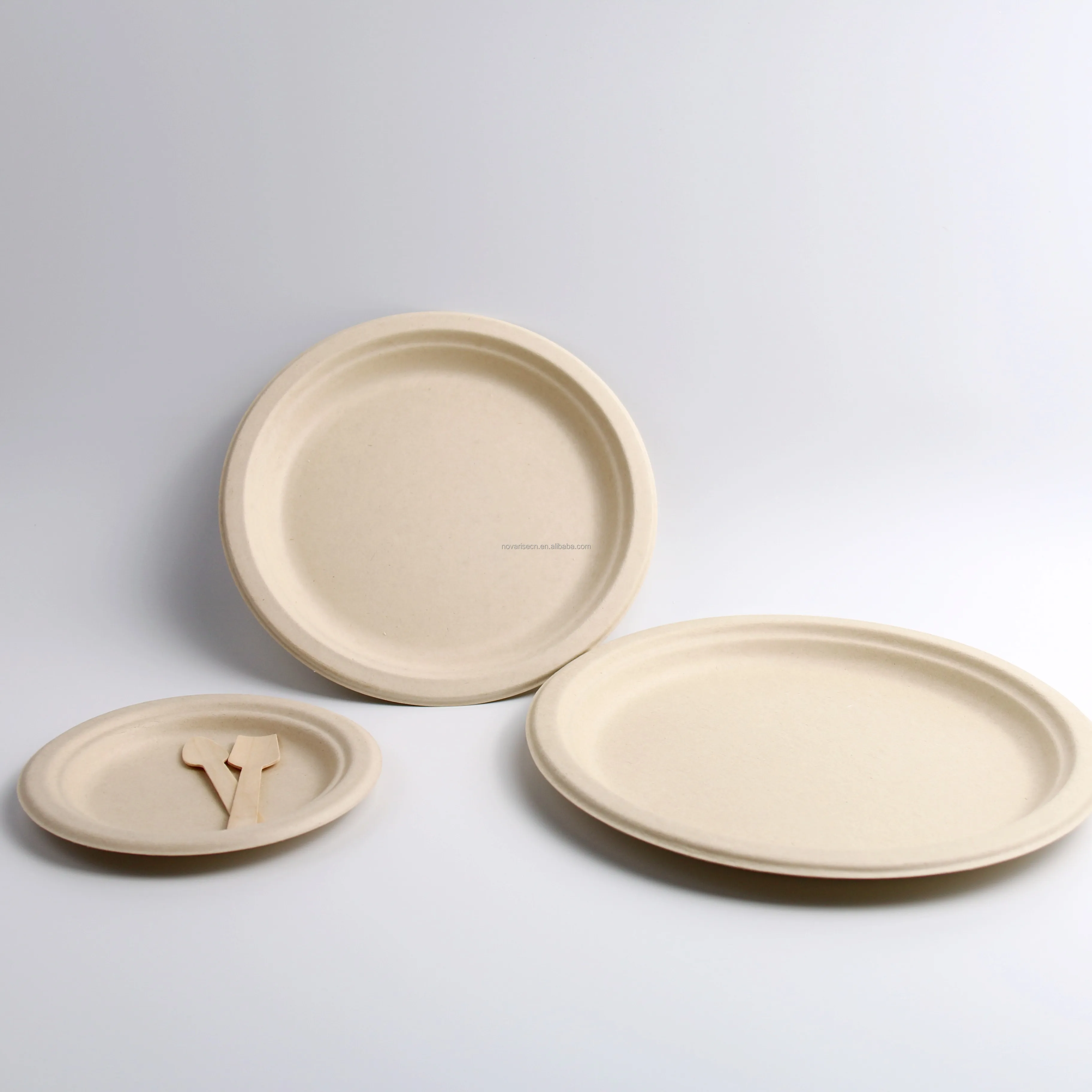 Disposable Biodegradable Plates Sugarcane Bagasse Paper Pulp Mould 6 ...