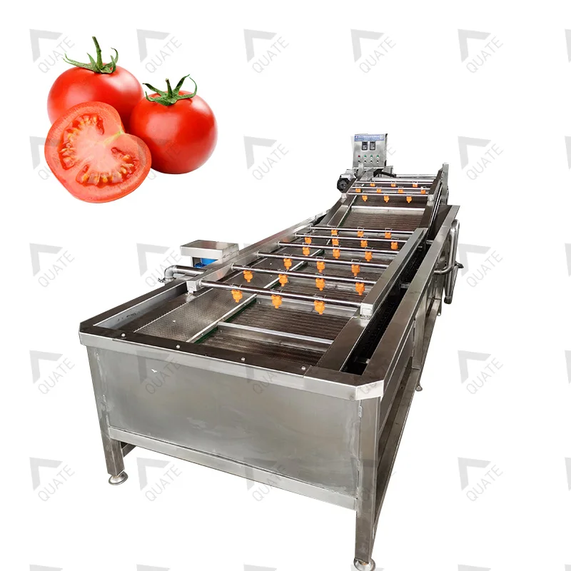 Large Mushroom Bubble Cleaning Machine Fully Automatic High Pressure ...