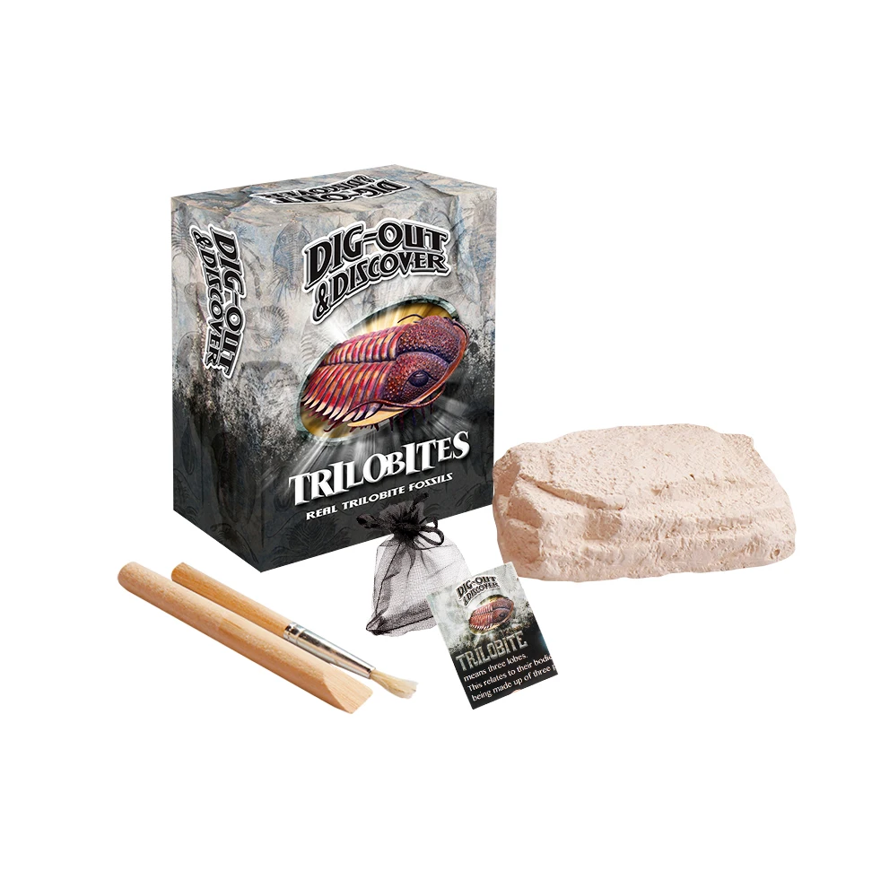 Fossil Trilobites Dig Discover Excavation Kit - Buy Education Toys Stem ...