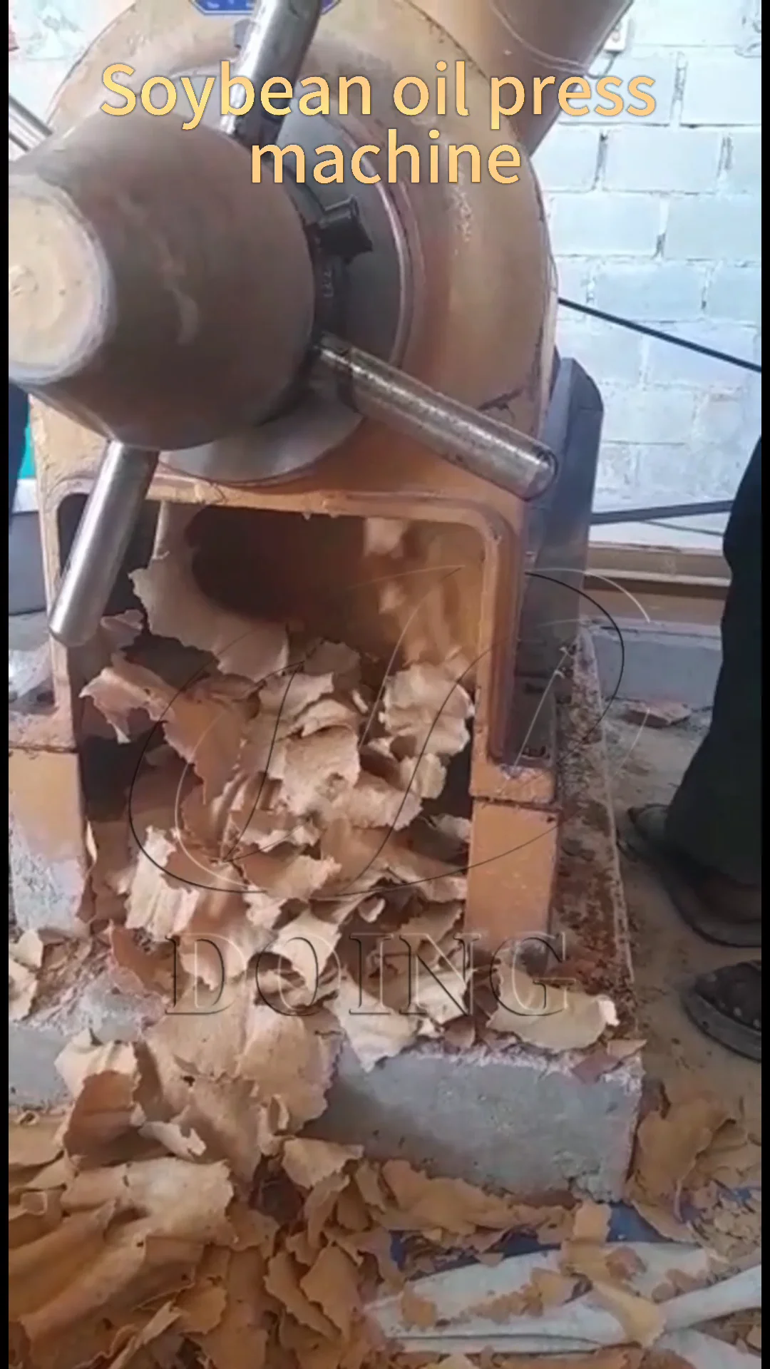 Cheap And Fine Groundnut Oil Production Mill Groundnut Oil Processing ...