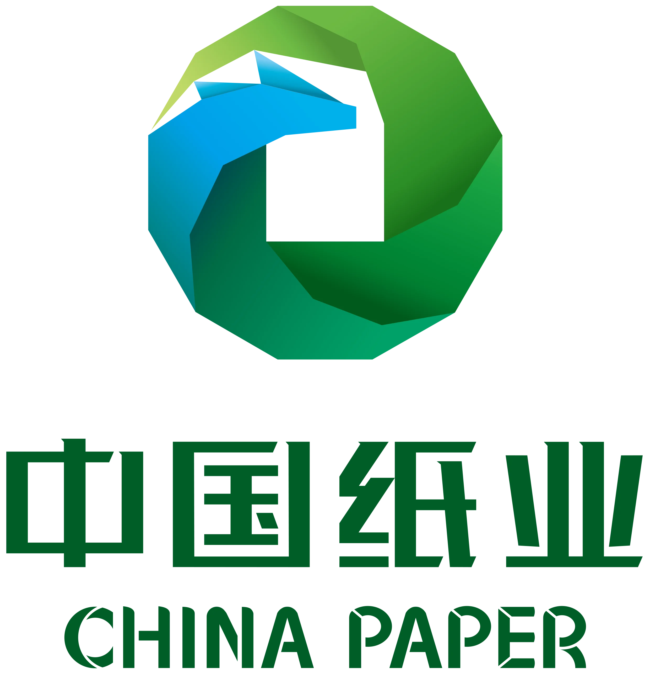 Company Overview - China Paper Corporation