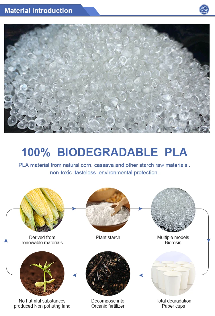 VIRTUES Custom 100% Biodegradable PLA Coated Paper Cups