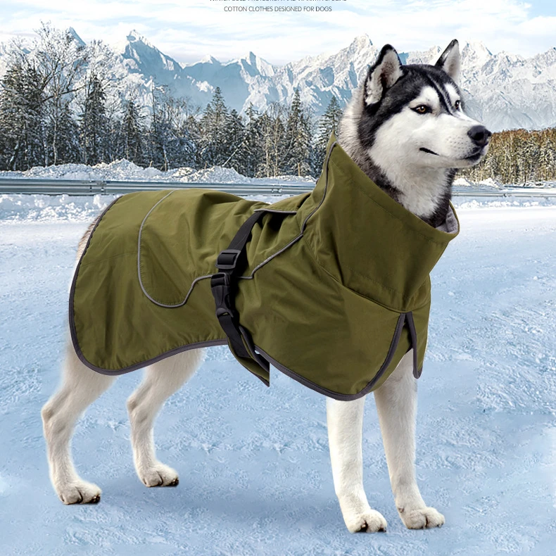 Large Dog Coats