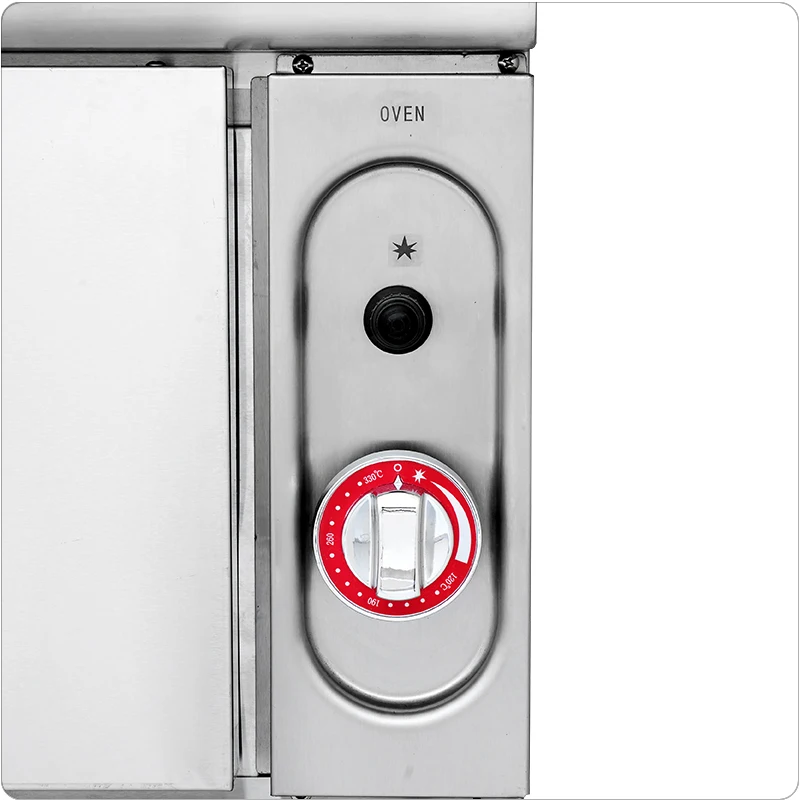 Linkrich 4-Burner Gas Stove Oven - Stainless Steel Cooker