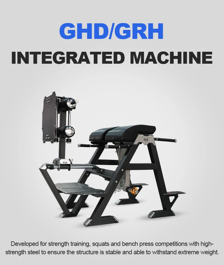 Commercial Glute Ham Developer Roman Chair Hyperextension Hips Training ...