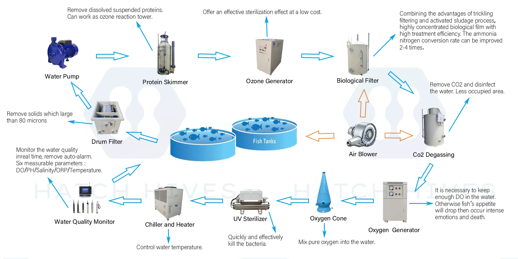Customize RAS Fish Farming Equipment System for Indoor High Survival ...