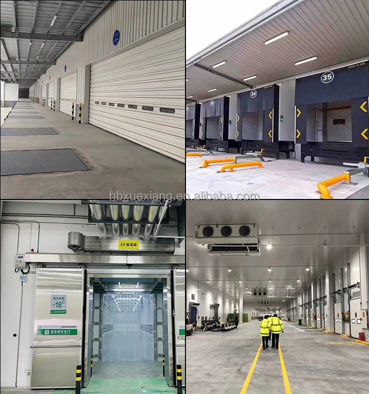 Custom Cold Room Storage Project Full System Large Cold Storage Chamber ...