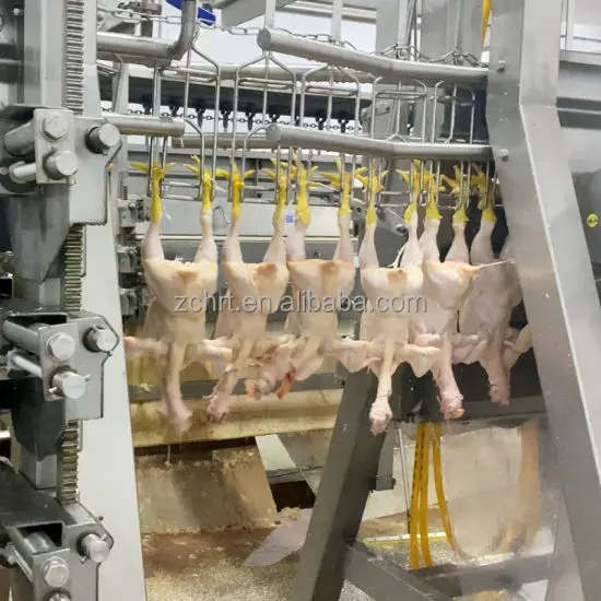 Factory Direct Automatic Chicken Slaughtering Line 500-5000 BPH for ...