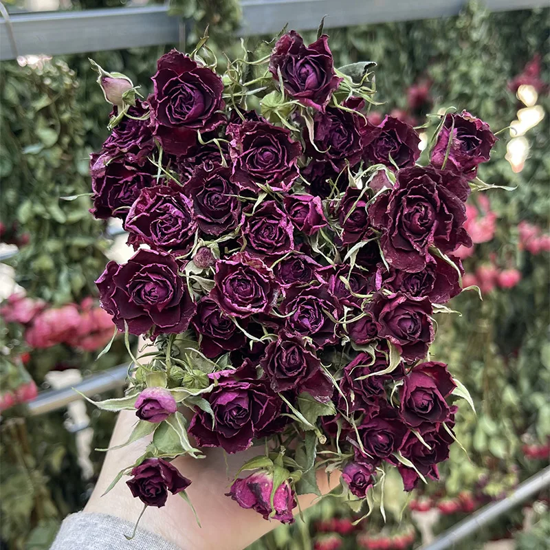Wholesale Flower Dry Rose Flowers Bouquet Natural Dried Multi-head ...