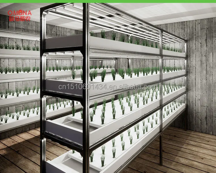 4 Layer Vertical Dft Indoor Dwc Kit - Buy Dft,Dwc Kit,Indoor Dwc Kit ...