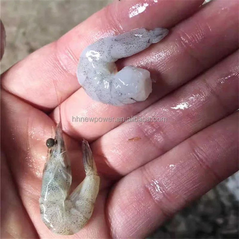 Fresh Prawn Sheller Skin Removal Deheader Deveiner Head Peeler Dried ...