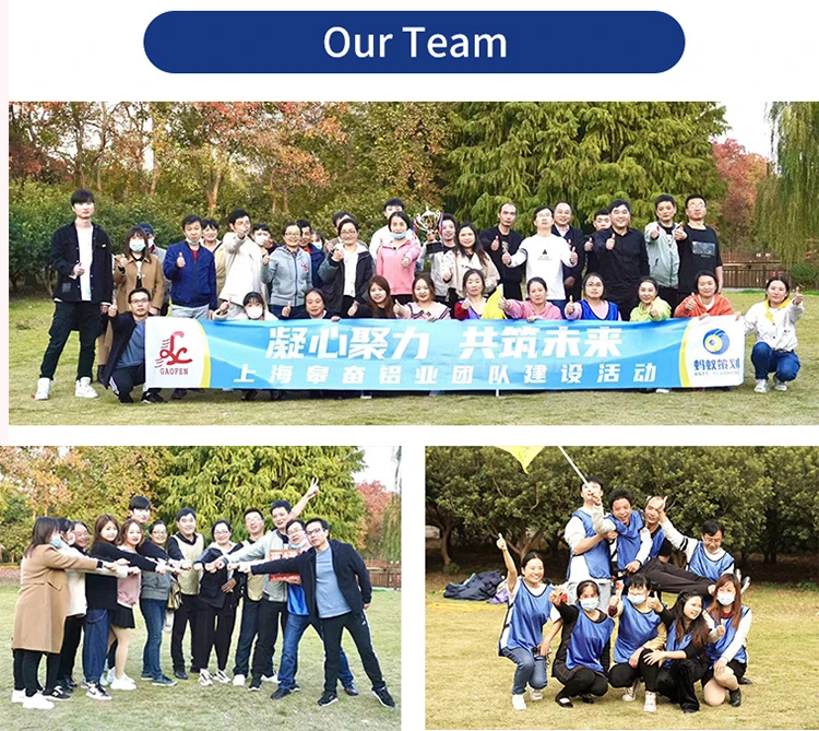 6005 T5 Anodized Aluminum Extrusion Profile - 4080 Series