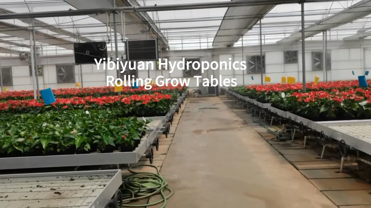 Greenhouse Ebb Bed Flood Tray 2x4 Rolling Benches Hydroponic Tray Ebb ...