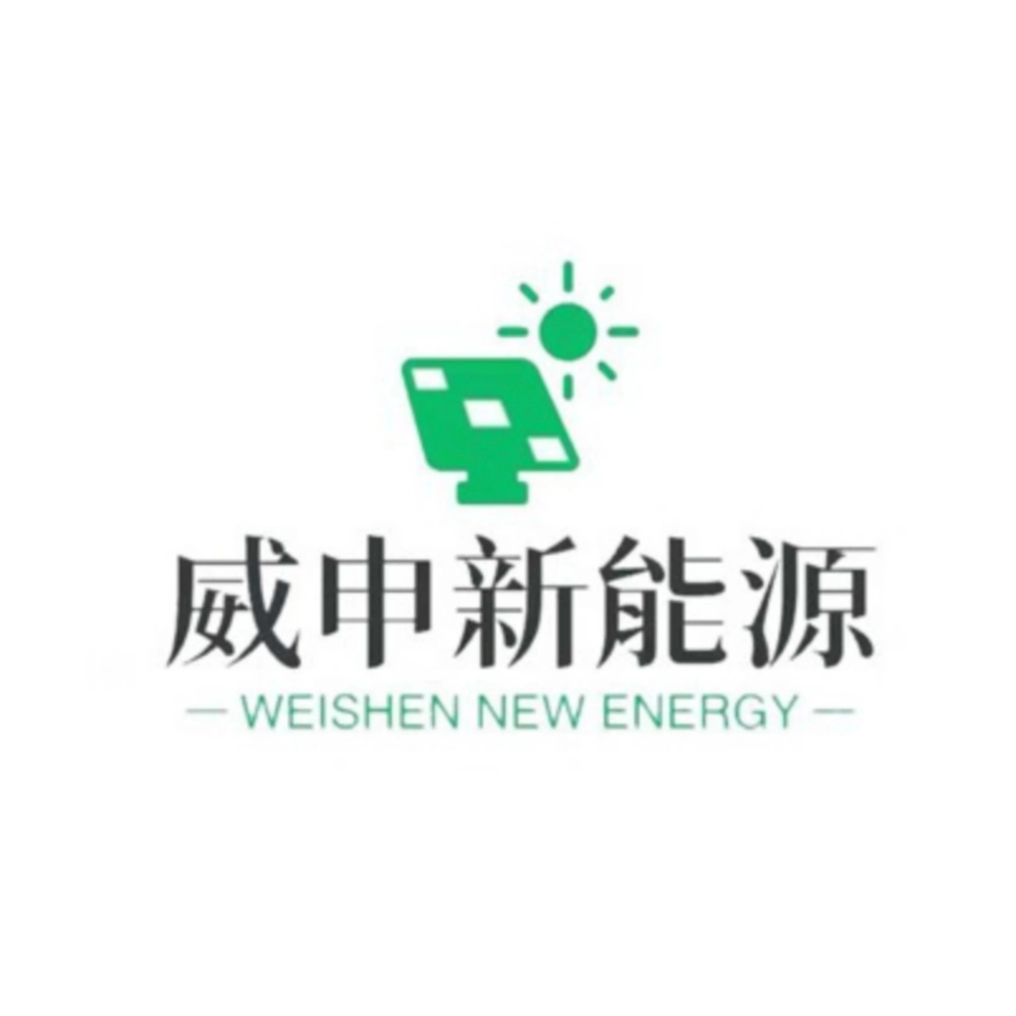 Company Overview - Dongguan Weishen New Energy Tech Co., Ltd.