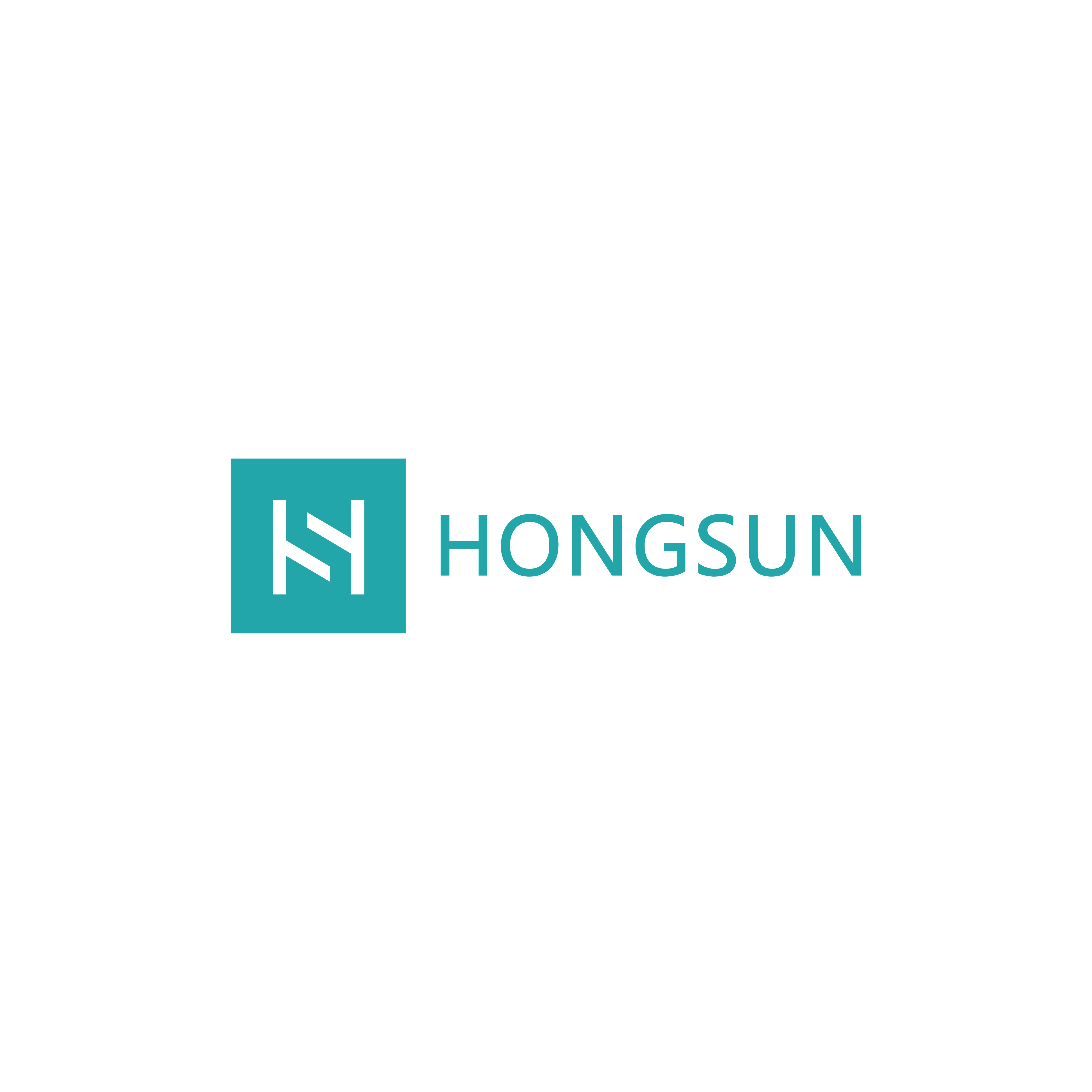 Company Overview - Shenzhen Hongsheng Technology Co., Ltd.