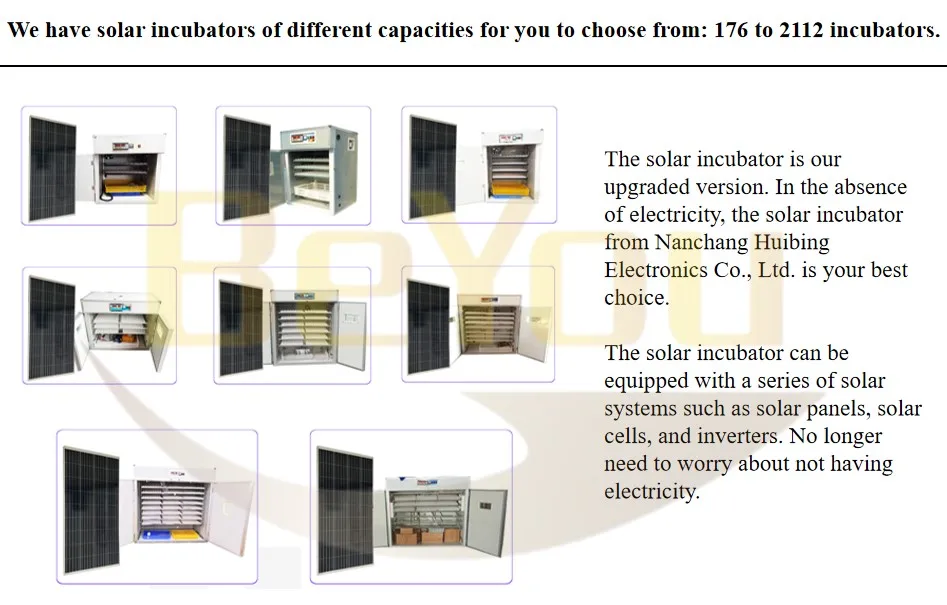 Fully Automatic Dual Energy Incubators - High Hatching Rate