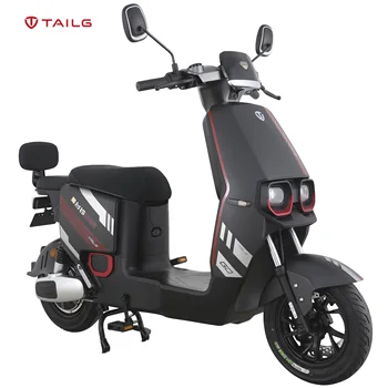 Tailg Chinese High Quality 100km 48v Two Wheel Fast Self-balancing ...