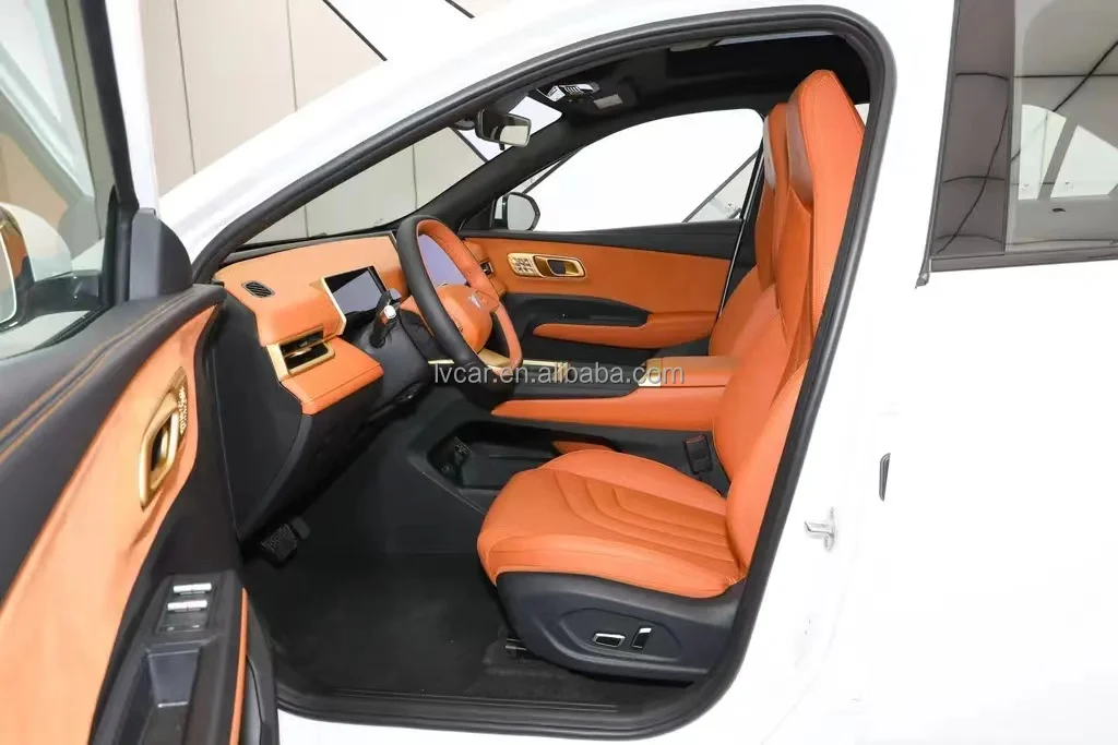 2024 Netta X Electric SUV - 500 Km Range, Ultra Long Drive