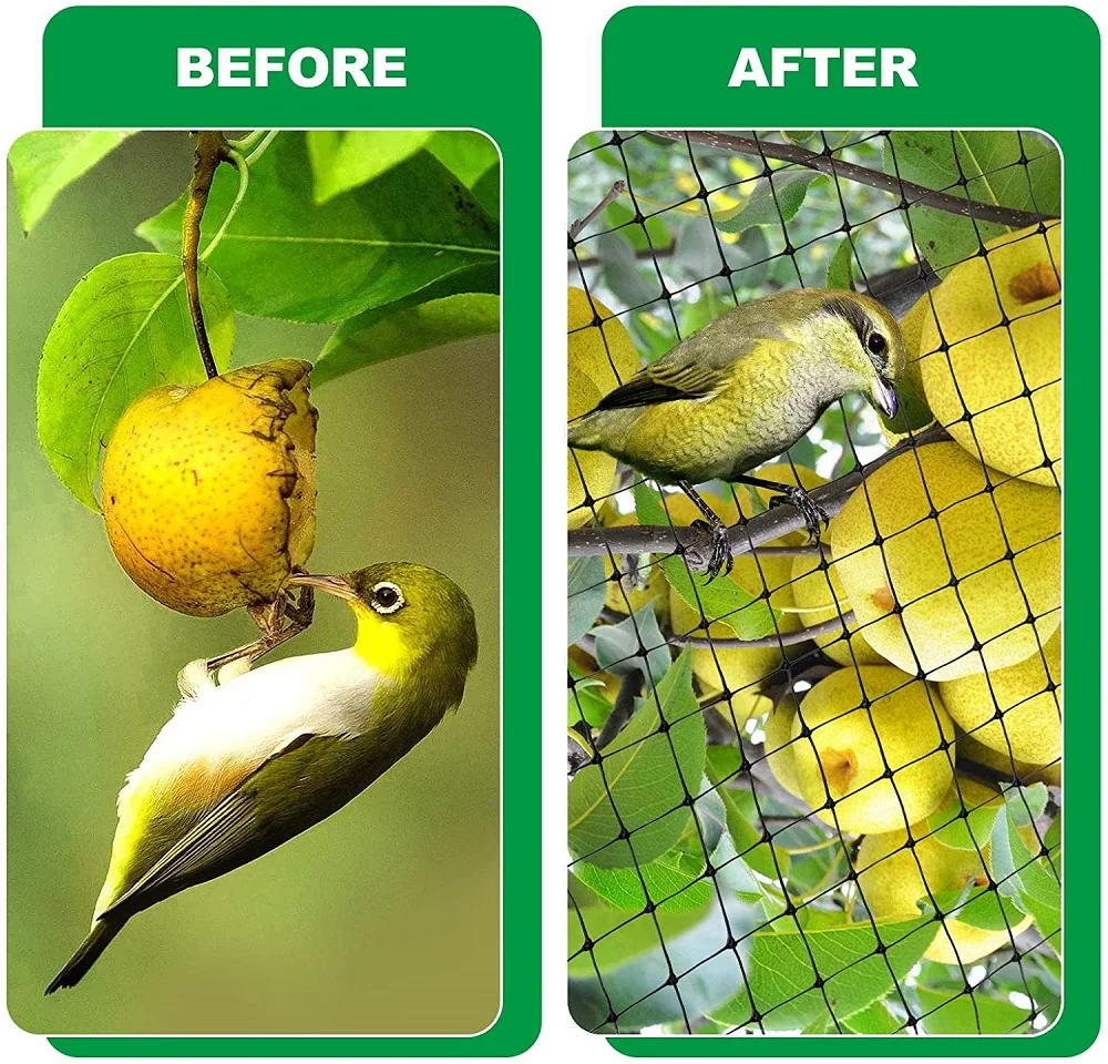 Black Color Plastic Bop Netting/ Garden Anti Bird Net/extruded Mole ...