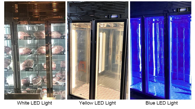 Deep Sea Fish Dry Aged Cabinet Air Cooler Display Showcase Refrigerator ...