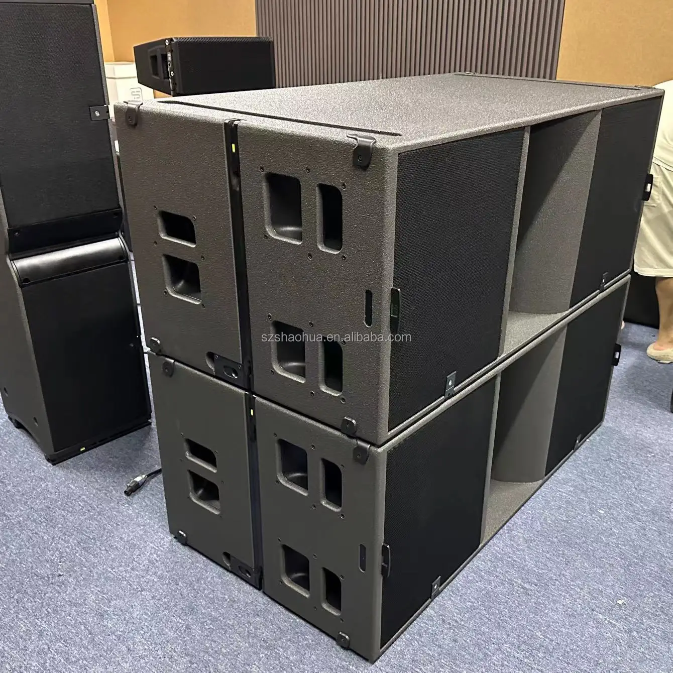 KS28 Subwoofer - High Power Dual 18 Inch Professional Audio