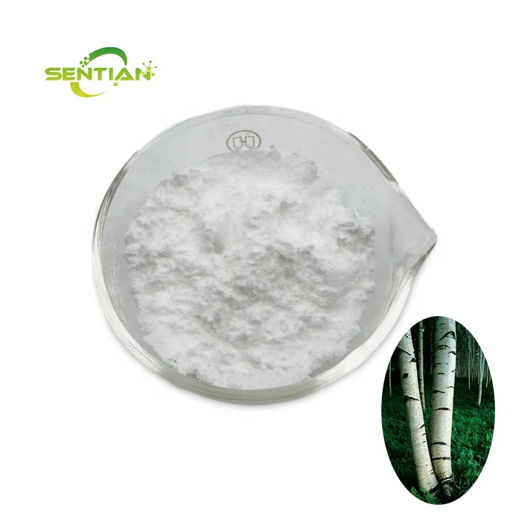 Betulinic Acid 98 Cas 472 15 1 Birch Bark Extract Powder Betulinic Acid Buy Betulinic Acid